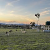 Blue Oak Canyon Loop and Old Ranch Road, California - 318 Reviews, Map ...