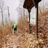 Appalachian Trail: Woody Gap to Neel's Gap, Georgia - 447 Reviews, Map ...