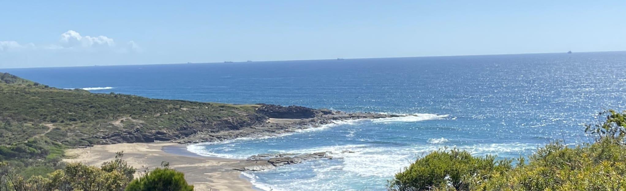 Southern Headland and West Pinney Trail: 15 Reviews, Map - New South ...