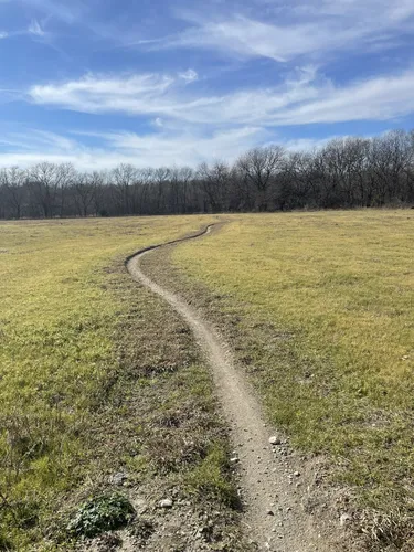 Best Hikes and Trails in Rowlett Creek Preserve | AllTrails