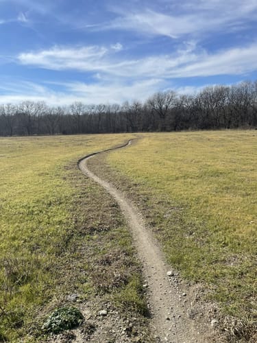 2023 Best Trail Running Trails in Rowlett Creek Preserve | AllTrails