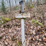 Appalachian Trail: Woody Gap to Neel's Gap, Georgia - 447 Reviews, Map ...