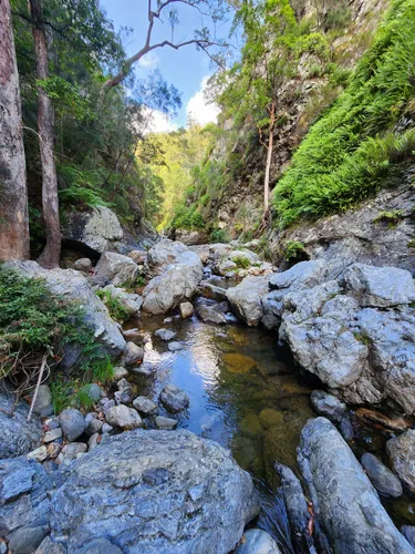 10 Best Walking Trails in Mount Glorious | AllTrails
