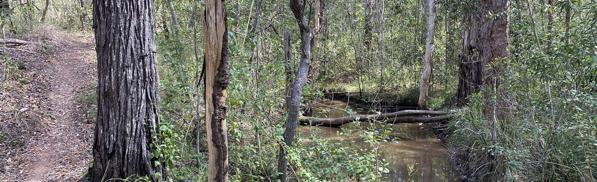 Ironbark, Beehive, and Barking Owl Trails, Queensland, Australia - 8 ...