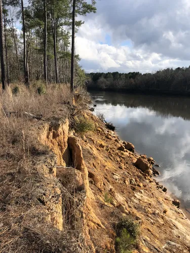 Best Hikes and Trails in Audubon's Silver Bluff Center and Sanctuary ...