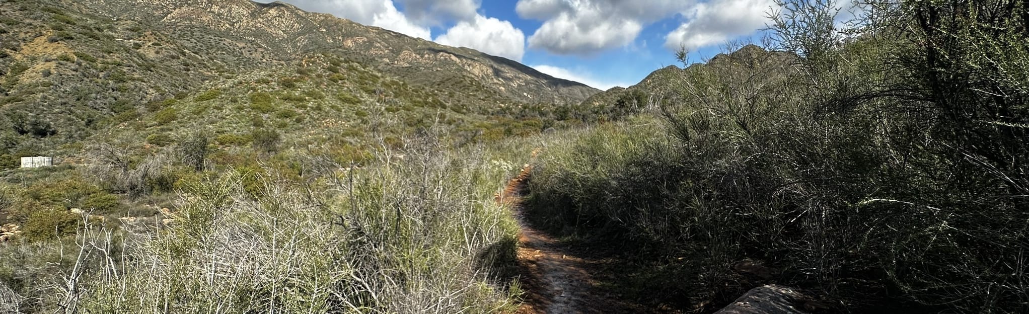 Wheeler Gorge Nature Trail, California - 58 Reviews, Map | AllTrails