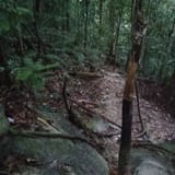 Maxwell Hill, Perak, Malaysia - 153 Reviews, Map | AllTrails
