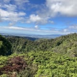 Manana Ridge Trail to Ko'olau Summit, Oahu, Hawaii - 172 Reviews, Map ...