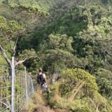 Manana Ridge Trail to Ko'olau Summit, Oahu, Hawaii - 172 Reviews, Map ...