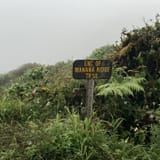 Manana Ridge Trail to Ko'olau Summit, Oahu, Hawaii - 172 Reviews, Map ...