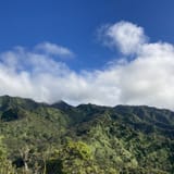 Manana Ridge Trail to Ko'olau Summit, Oahu, Hawaii - 172 Reviews, Map ...