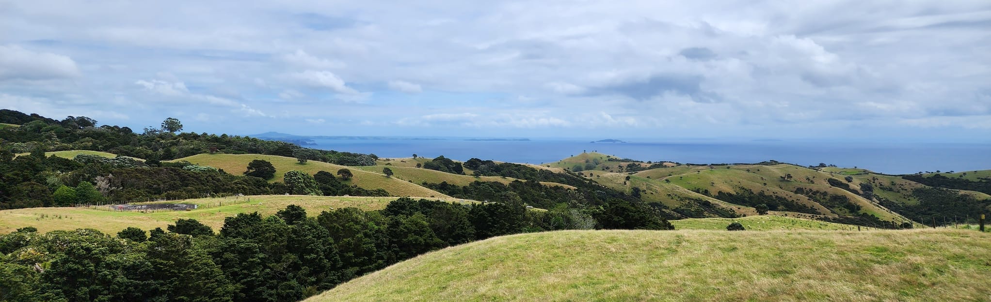 Stoney Batter Path, Auckland, New Zealand - 11 Reviews, Map | AllTrails