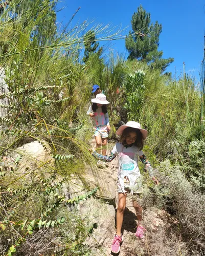 Best Hikes and Trails in Witzenberg Nature Reserve | AllTrails