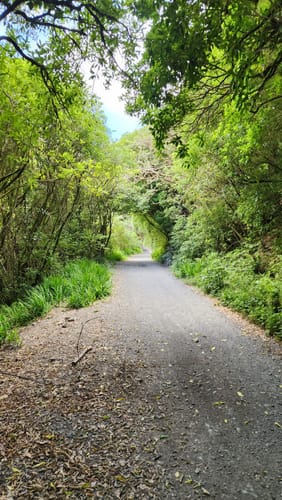 2023 Best 10 Trails and Hikes in Upper Hutt | AllTrails
