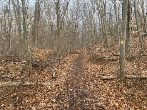 Best Hikes and Trails in Lime Rock Nature Preserve | AllTrails