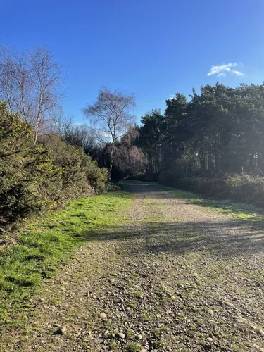 10 Best Forest Trails in Exeter | AllTrails