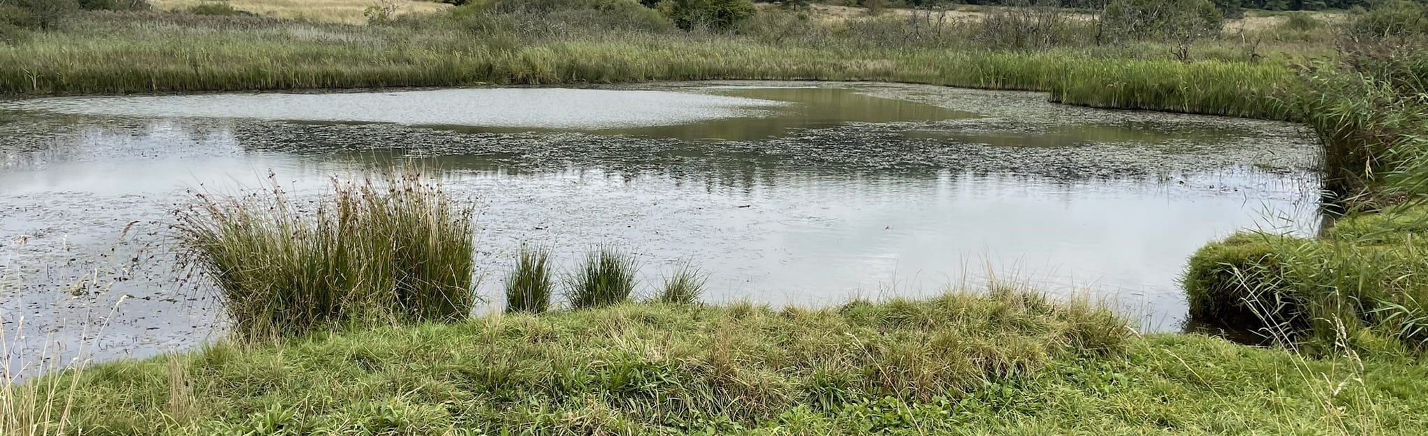 Priddy Circular: 7 Reviews, Map - Somerset, England | AllTrails