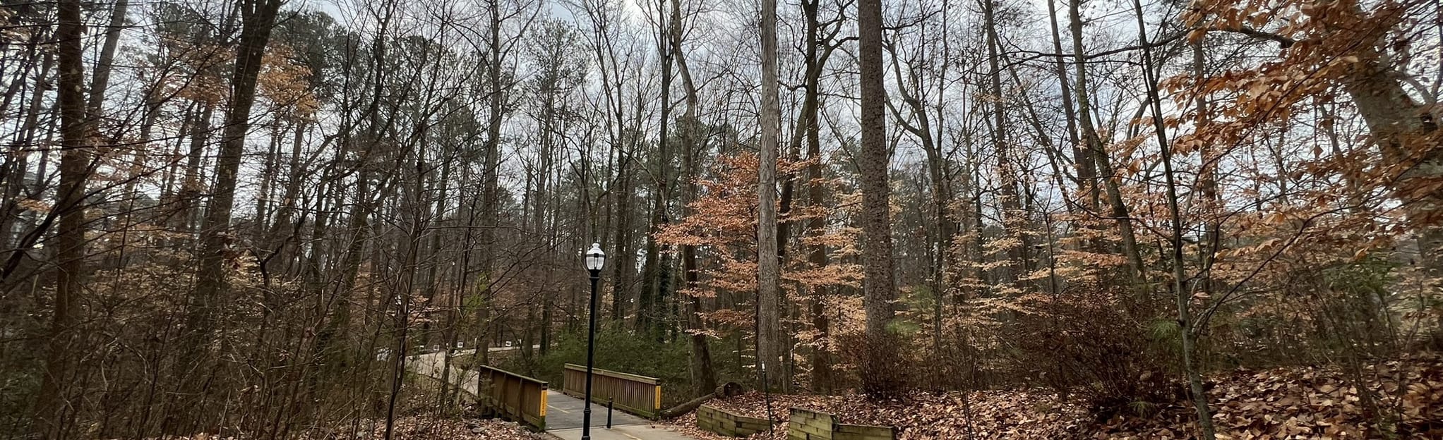 Brook Run Park Loop, Georgia - 693 Reviews, Map | AllTrails