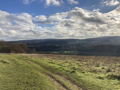 10 Best Walking Trails in Shere | AllTrails