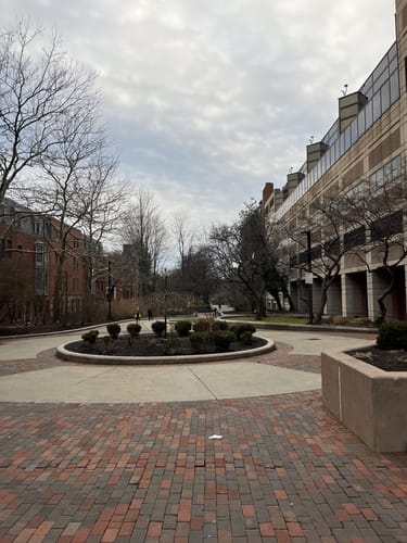 Best Hikes and Trails in Southwest Corridor Park | AllTrails