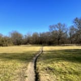 Rowlett Creek DORBA Full Trail, Texas - 463 Reviews, Map | AllTrails