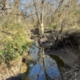 Rowlett Creek DORBA Full Trail, Texas - 463 Reviews, Map | AllTrails
