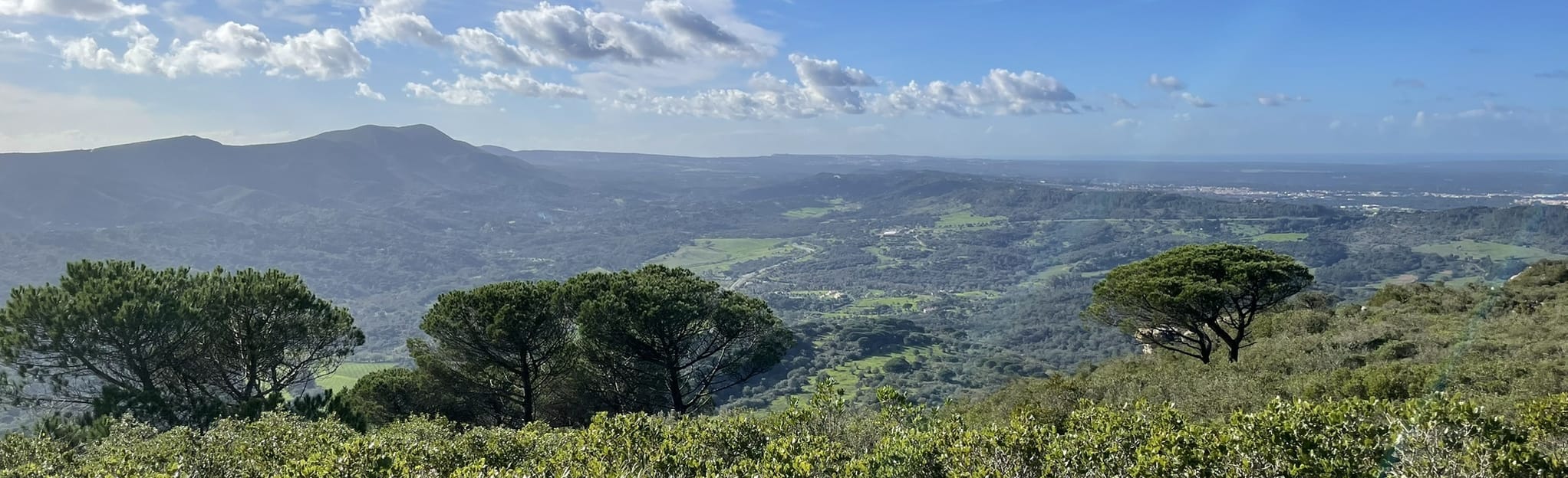 S. Paulo - Trilho do Zimbral - Sao Luis: 116 Fotos - Distrito de ...