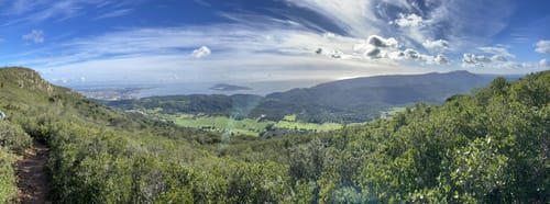 2023 Best Views Trails in Quinta do Anjo | AllTrails