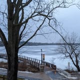 Lake Wilcox Park Loop, Ontario, Canada - 262 Reviews, Map | AllTrails