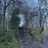 Hackfall Explorer, North Yorkshire, England - 324 Reviews, Map | AllTrails