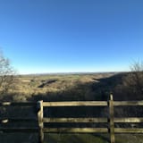 Hackfall Explorer, North Yorkshire, England - 324 Reviews, Map | AllTrails