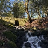 Hackfall Explorer, North Yorkshire, England - 324 Reviews, Map | AllTrails