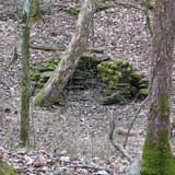 Hickory Ridge Outer Trail, Tennessee - 358 Reviews, Map | AllTrails