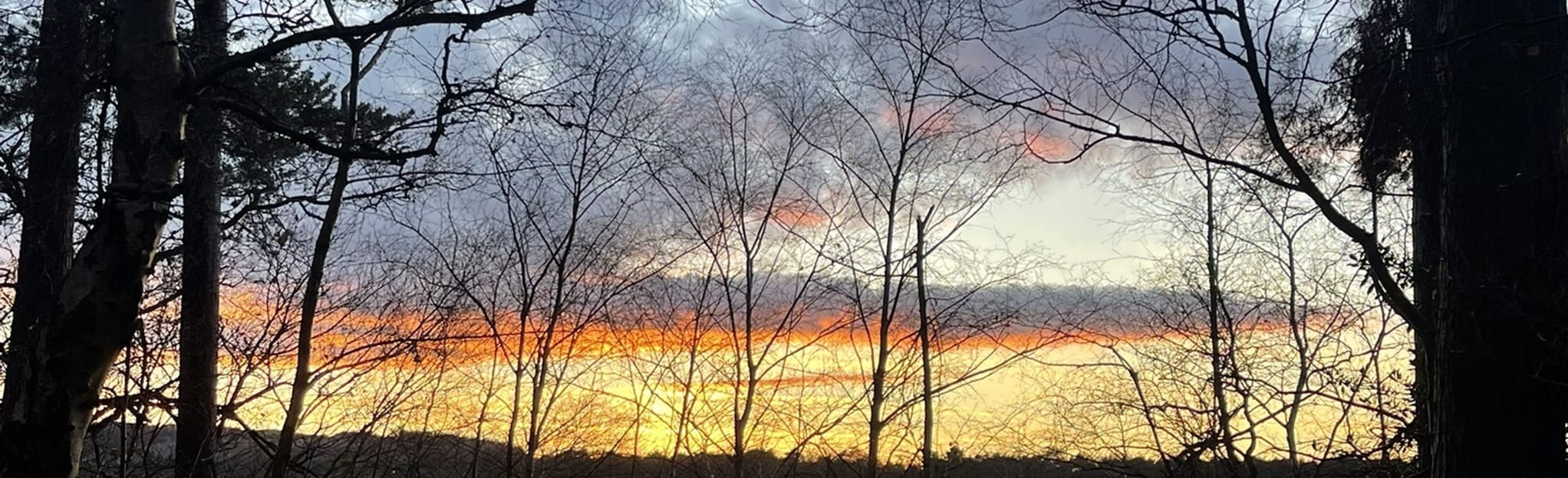 Hatchmere and Blakemere Moss: 43 Reviews, Map - Cheshire, England ...