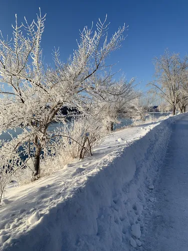 10 Best Trails and Hikes in Meewasin Valley Authority | AllTrails