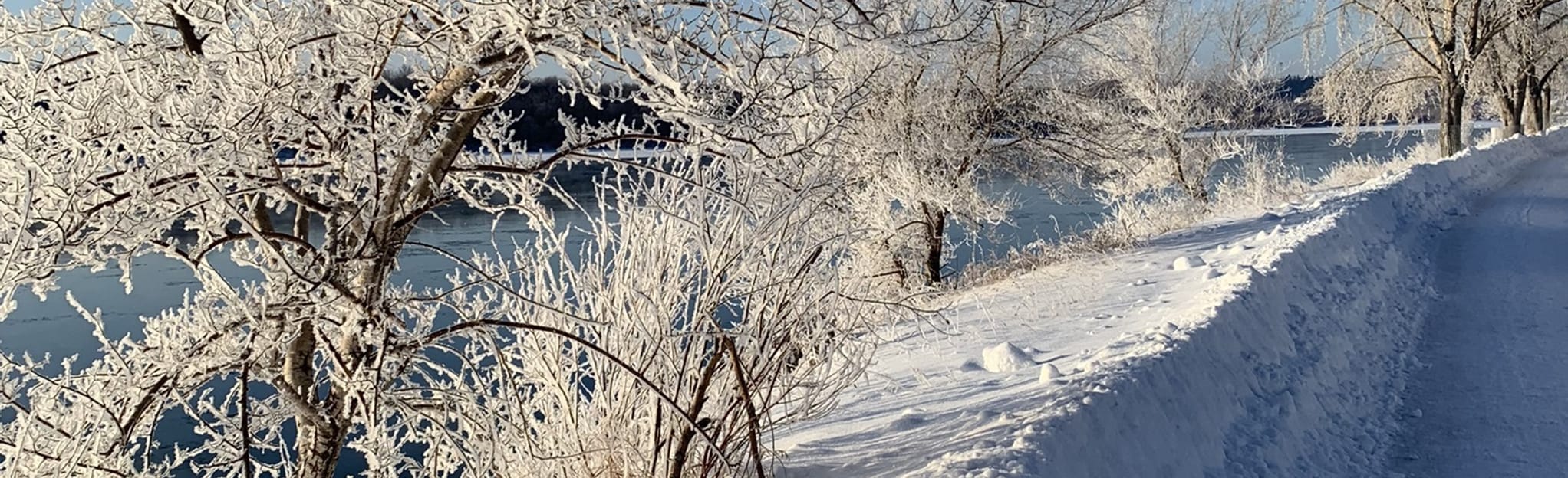 Meewasin Park Trail, Saskatchewan, Canada - 56 Reviews, Map | AllTrails