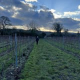 Boxley and the North Downs Circular, Kent, England - 405 Reviews, Map ...