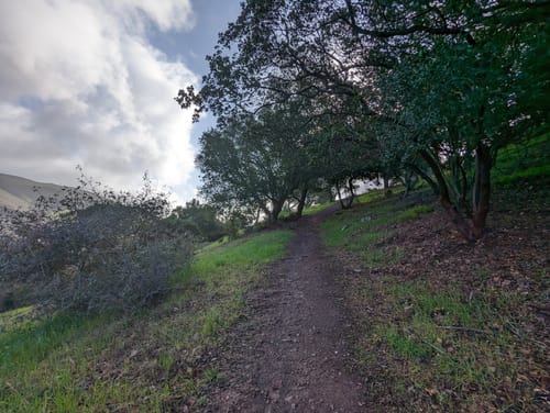 Best Hikes and Trails in Terrace Hill Open Space | AllTrails