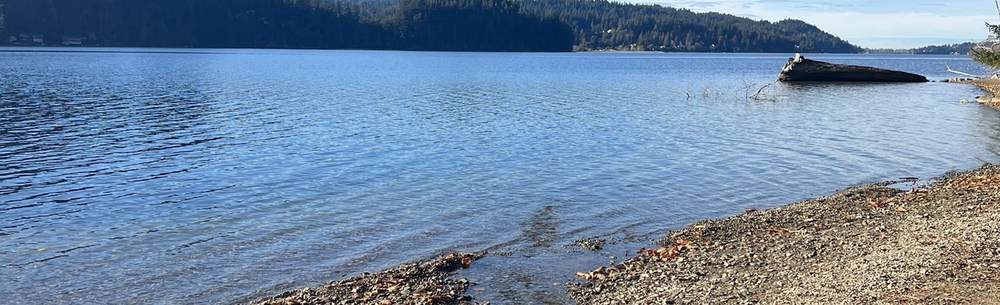 Lake Whatcom via Hertz Trail, Washington - 621 Reviews, Map | AllTrails