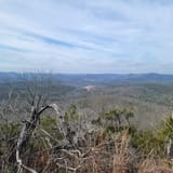 Devils Knob Loop, Arkansas - 222 Reviews, Map | AllTrails