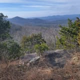 Devils Knob Loop, Arkansas - 222 Reviews, Map | AllTrails