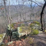 Devils Knob Loop, Arkansas - 222 Reviews, Map | AllTrails