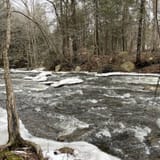 Old Mill Trail, Massachusetts - 267 Reviews, Map | AllTrails