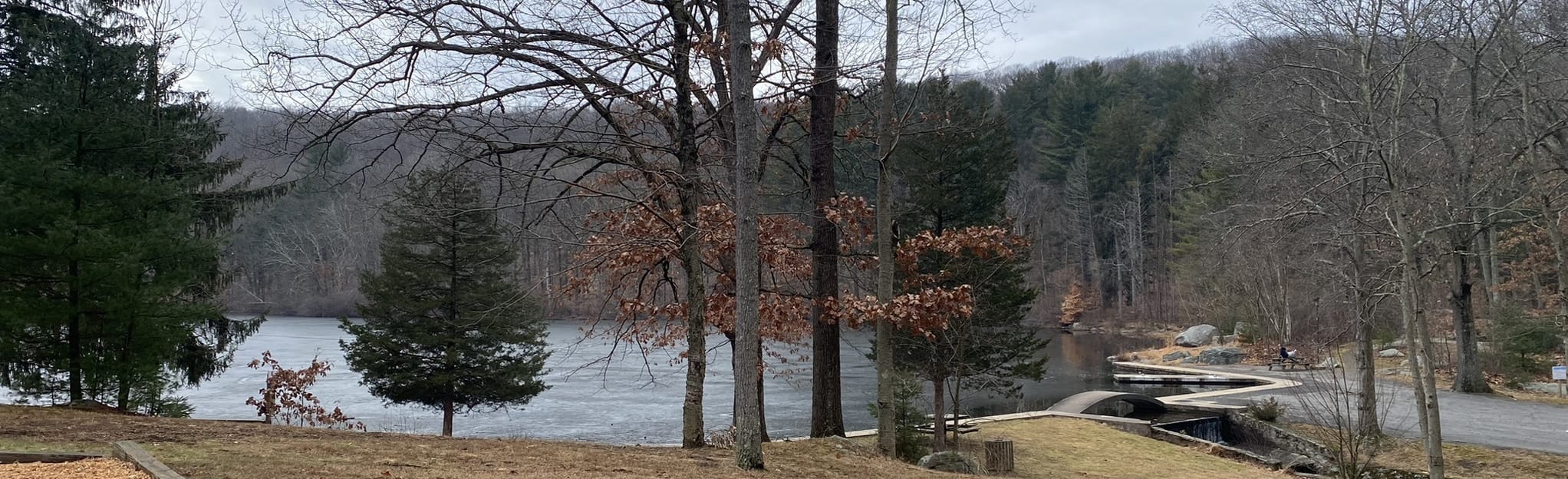 Carrington Pond, Connecticut - 39 Reviews, Map | AllTrails