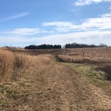 Assunpink Wildlife Management Area Trails, New Jersey - 205 Reviews ...