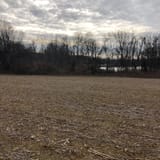 Assunpink Wildlife Management Area Trails, New Jersey - 205 Reviews ...