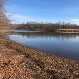 Assunpink Wildlife Management Area Trails, New Jersey - 205 Reviews ...