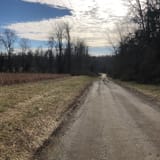 Assunpink Wildlife Management Area Trails, New Jersey - 205 Reviews ...