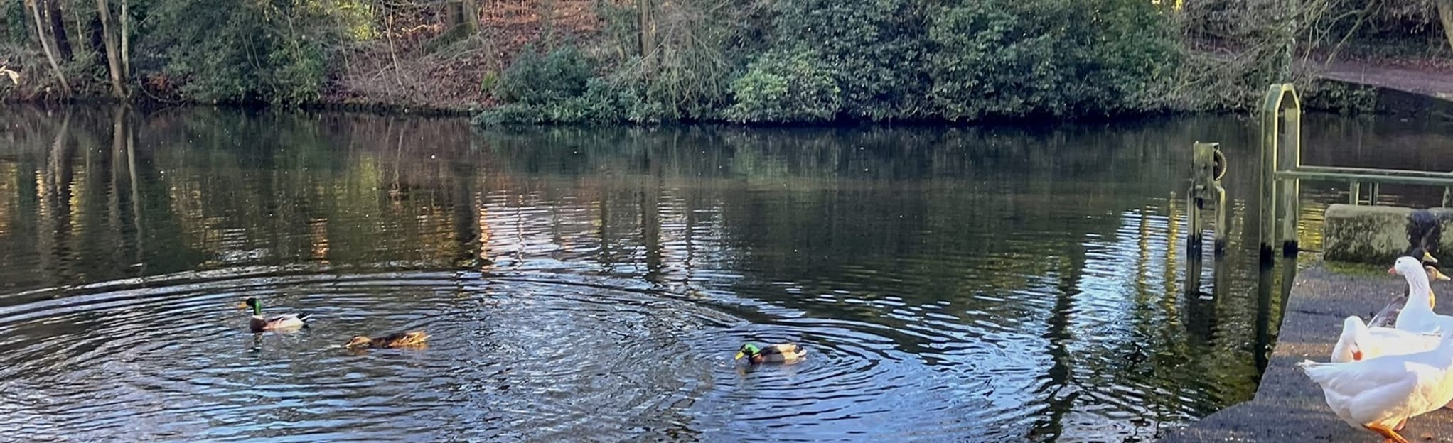 Biddulph Grange Circular Route, Cheshire, England - 33 Reviews, Map ...