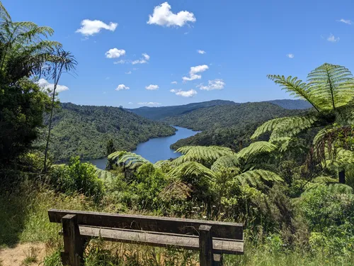 Best 10 Hikes and Trails in Hunua Ranges Regional Park | AllTrails